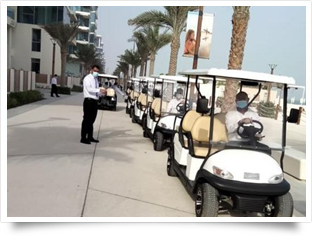The Valet Company - TVC Buggies